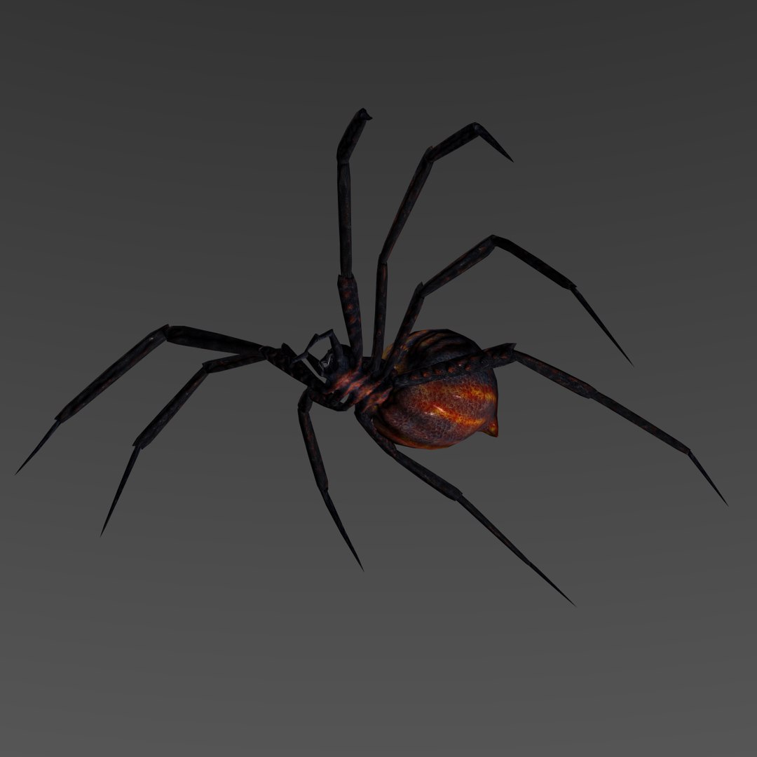 3d Spider Animation Model