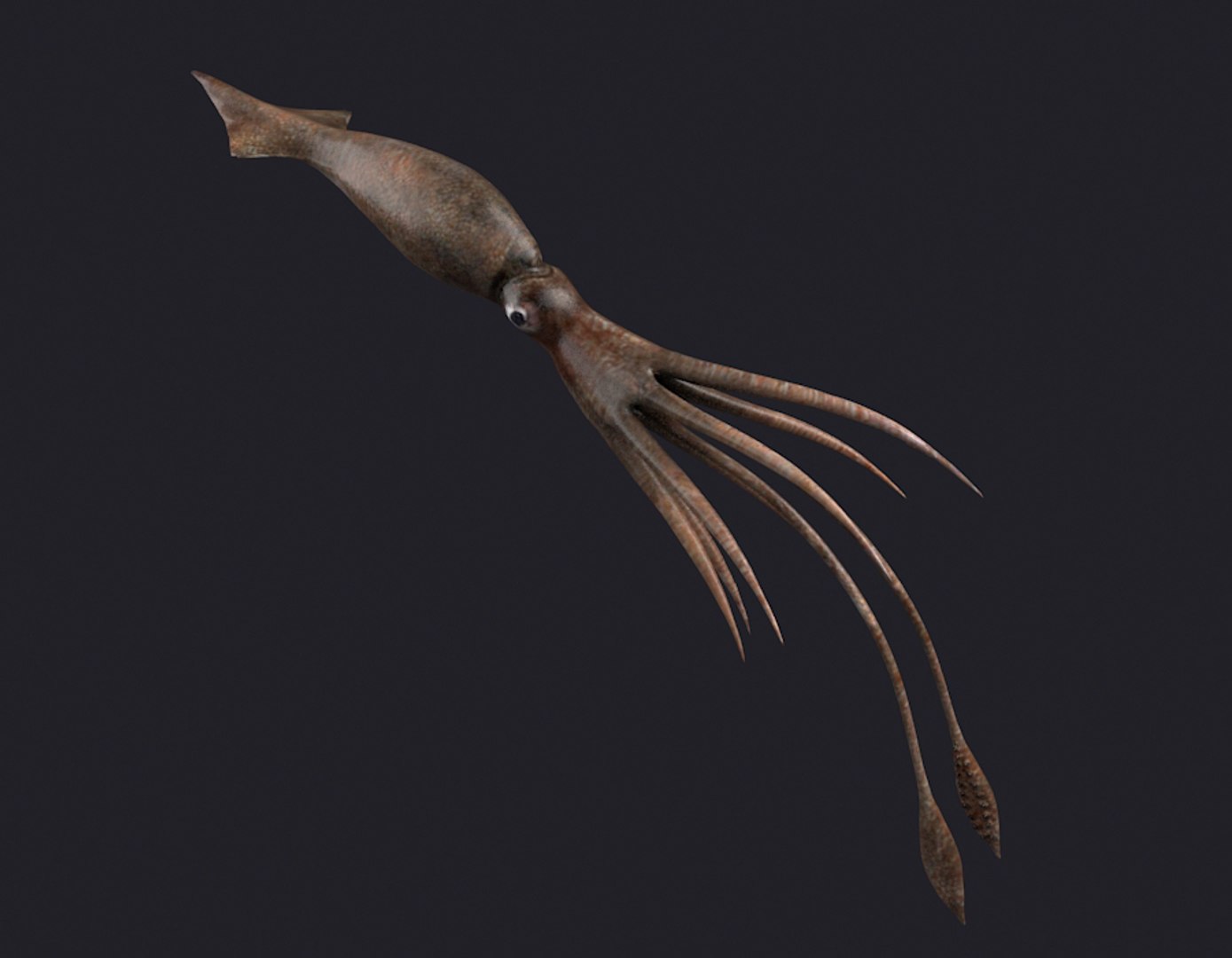 Ocean King Squid Giant 3D - TurboSquid 1575468