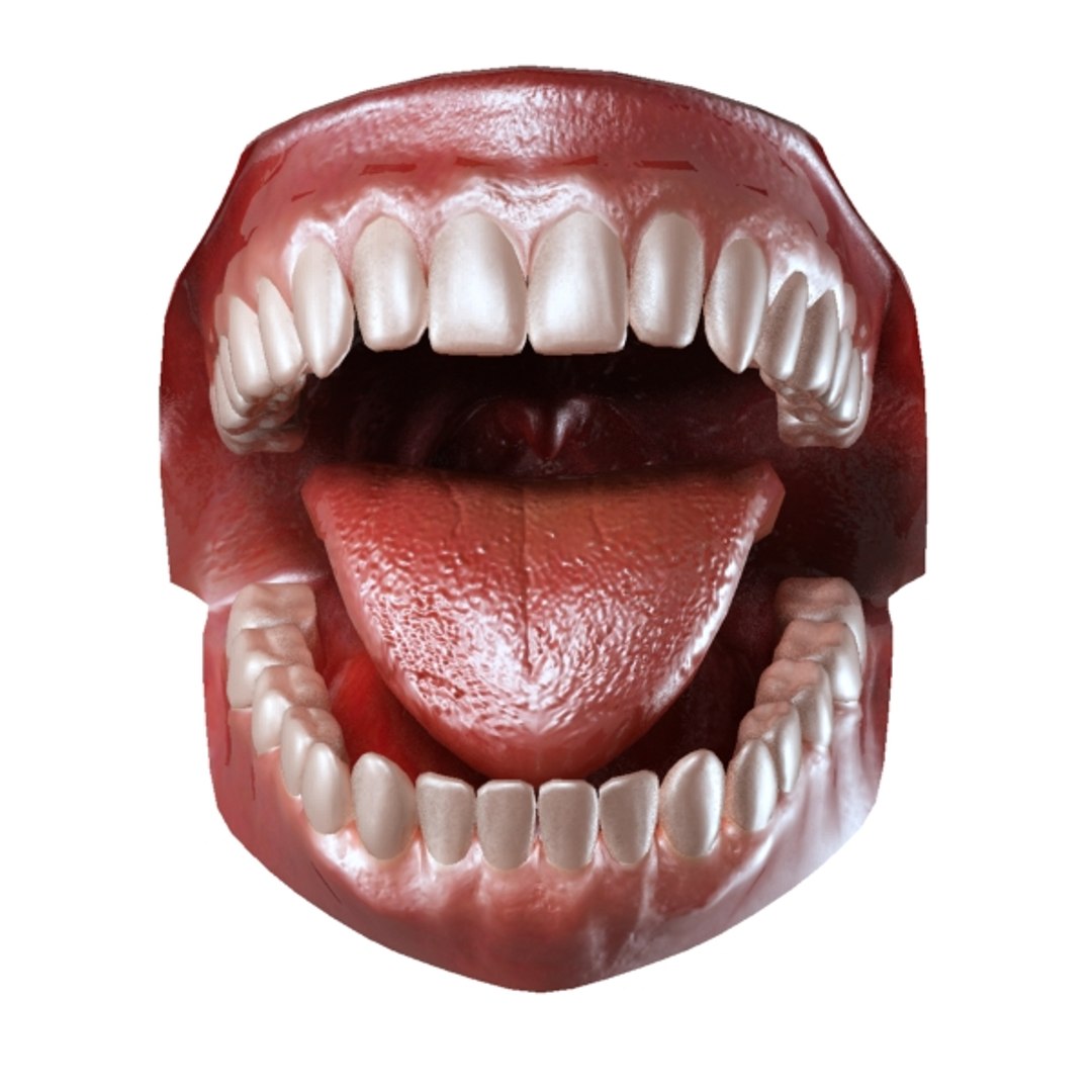 Aaamouth Animating 2 Mouth 3d Model