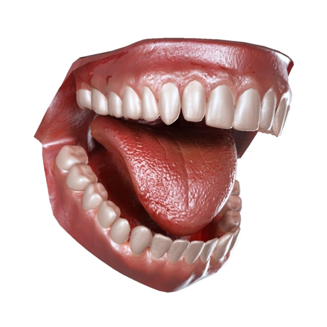 Aaamouth Animating 2 Mouth 3d Model