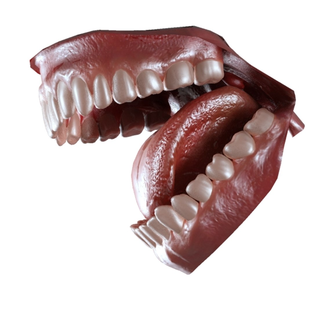 Aaamouth Animating 2 Mouth 3d Model