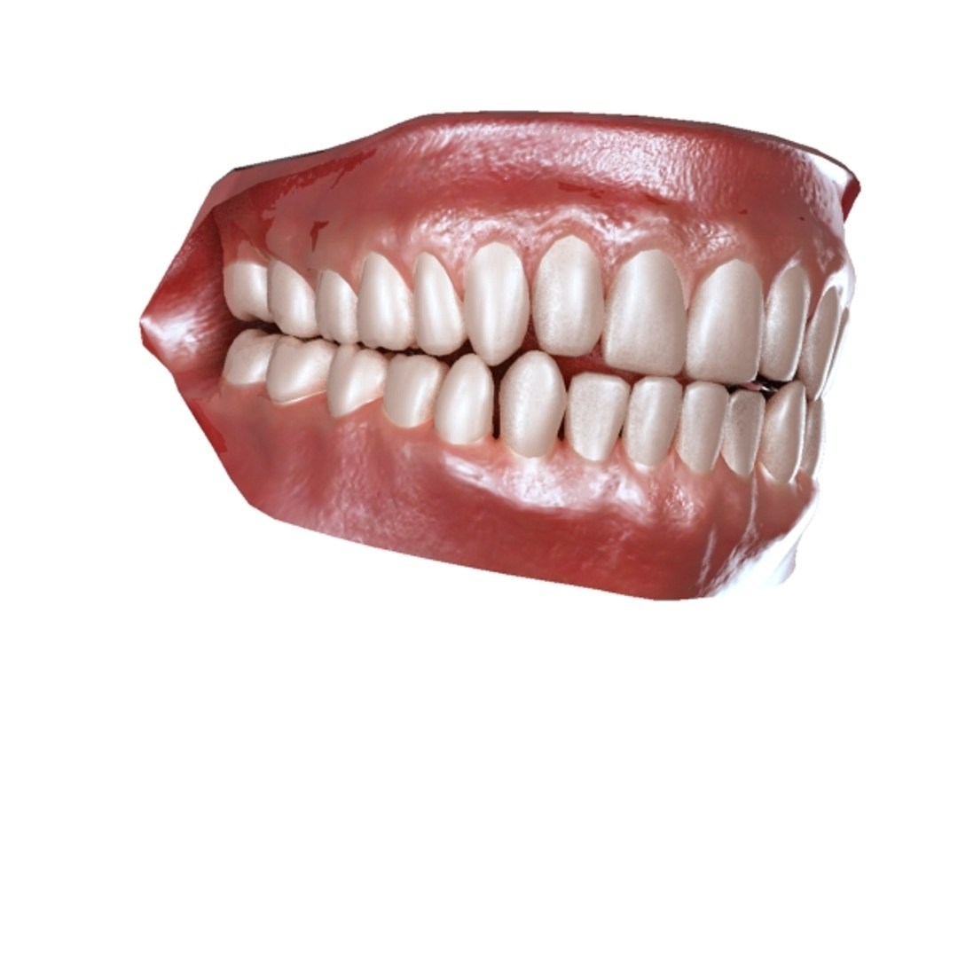 Aaamouth Animating 2 Mouth 3d Model