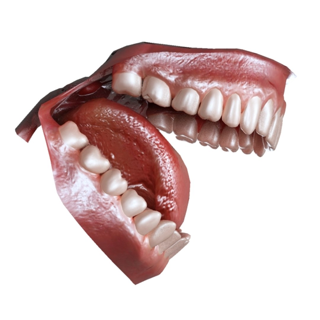 Aaamouth Animating 2 Mouth 3d Model