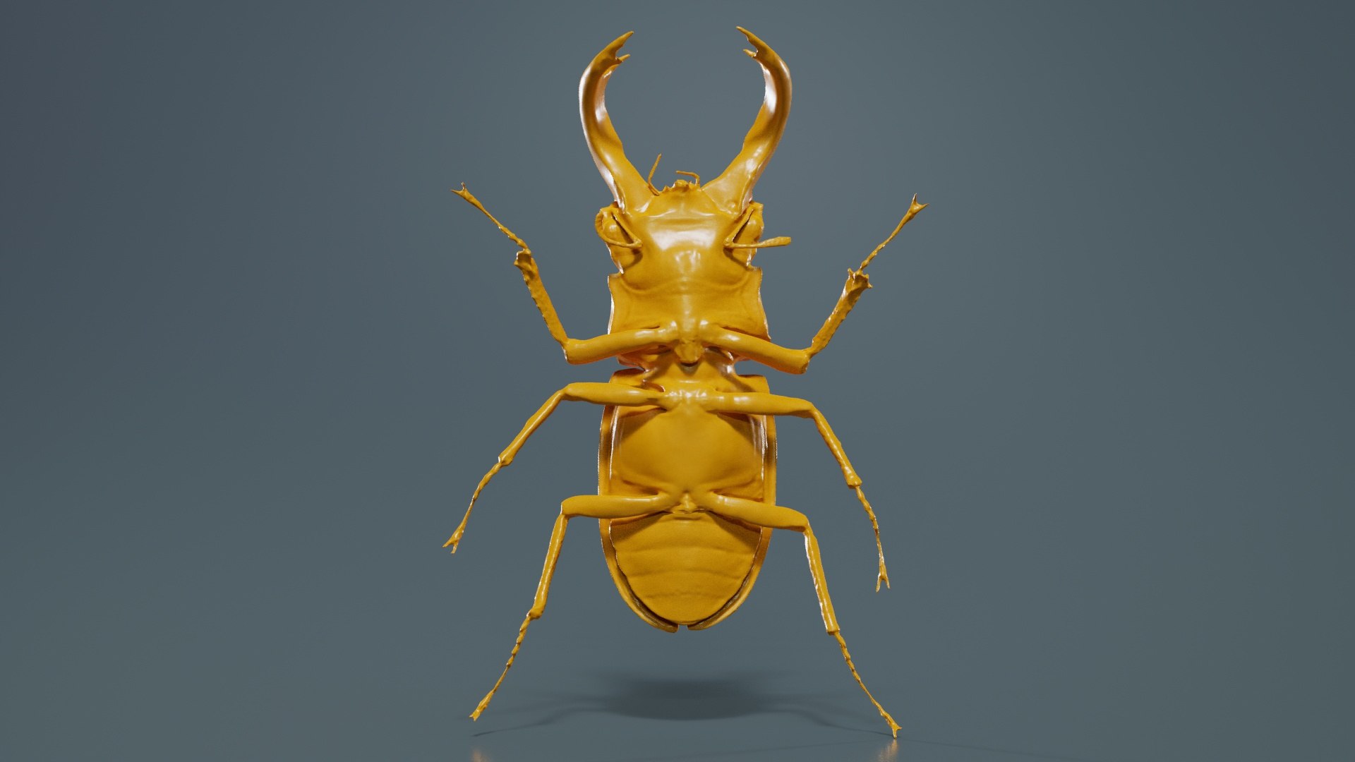 Lucanus Cervus Stag Beetle Remastered 3D Model - TurboSquid 2359759