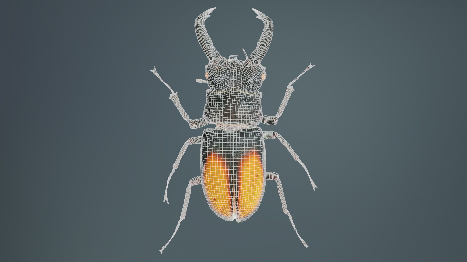 Lucanus Cervus Stag Beetle Remastered 3D Model - TurboSquid 2359759