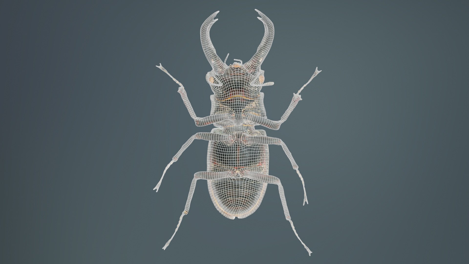 Lucanus Cervus Stag Beetle Remastered 3D Model - TurboSquid 2359759