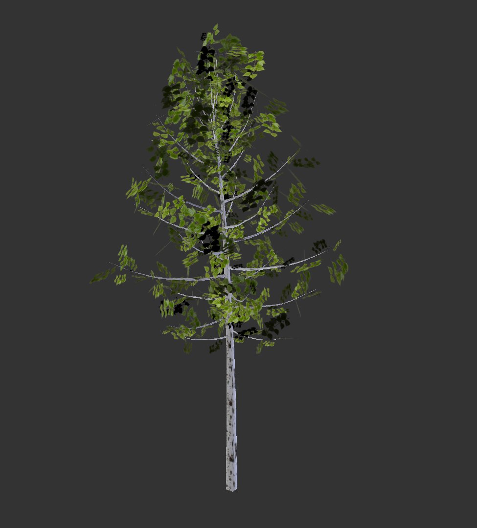 Birch Tree Wind Animation Model - TurboSquid 1246496
