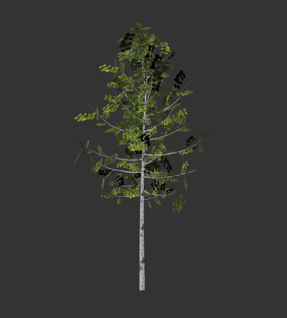 Birch Tree Wind Animation Model - TurboSquid 1246496