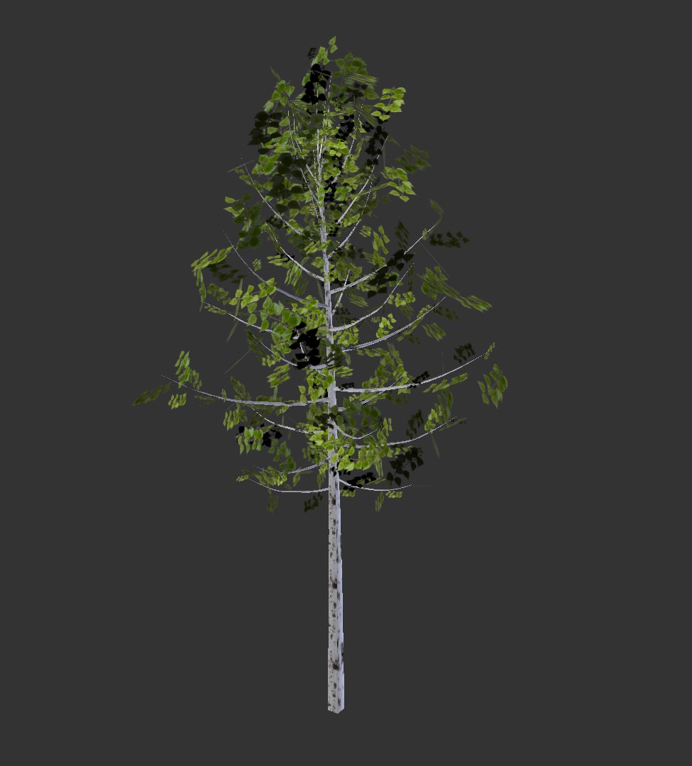 Birch Tree Wind Animation Model - TurboSquid 1246496