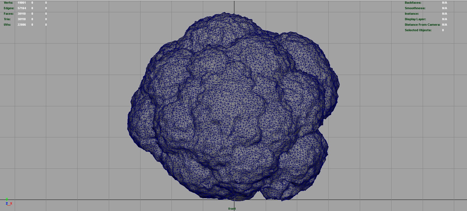 Broccoli 3d Model