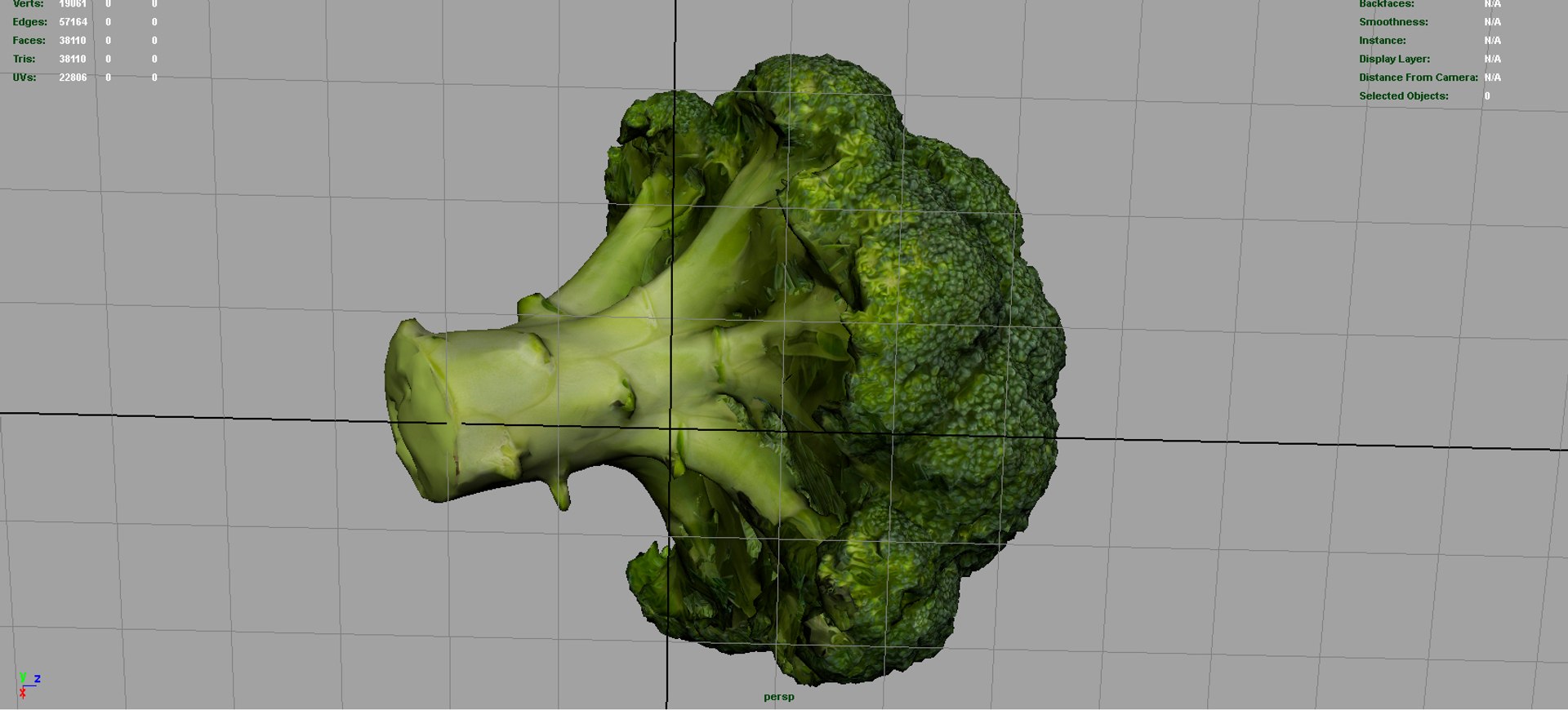 Broccoli 3d Model