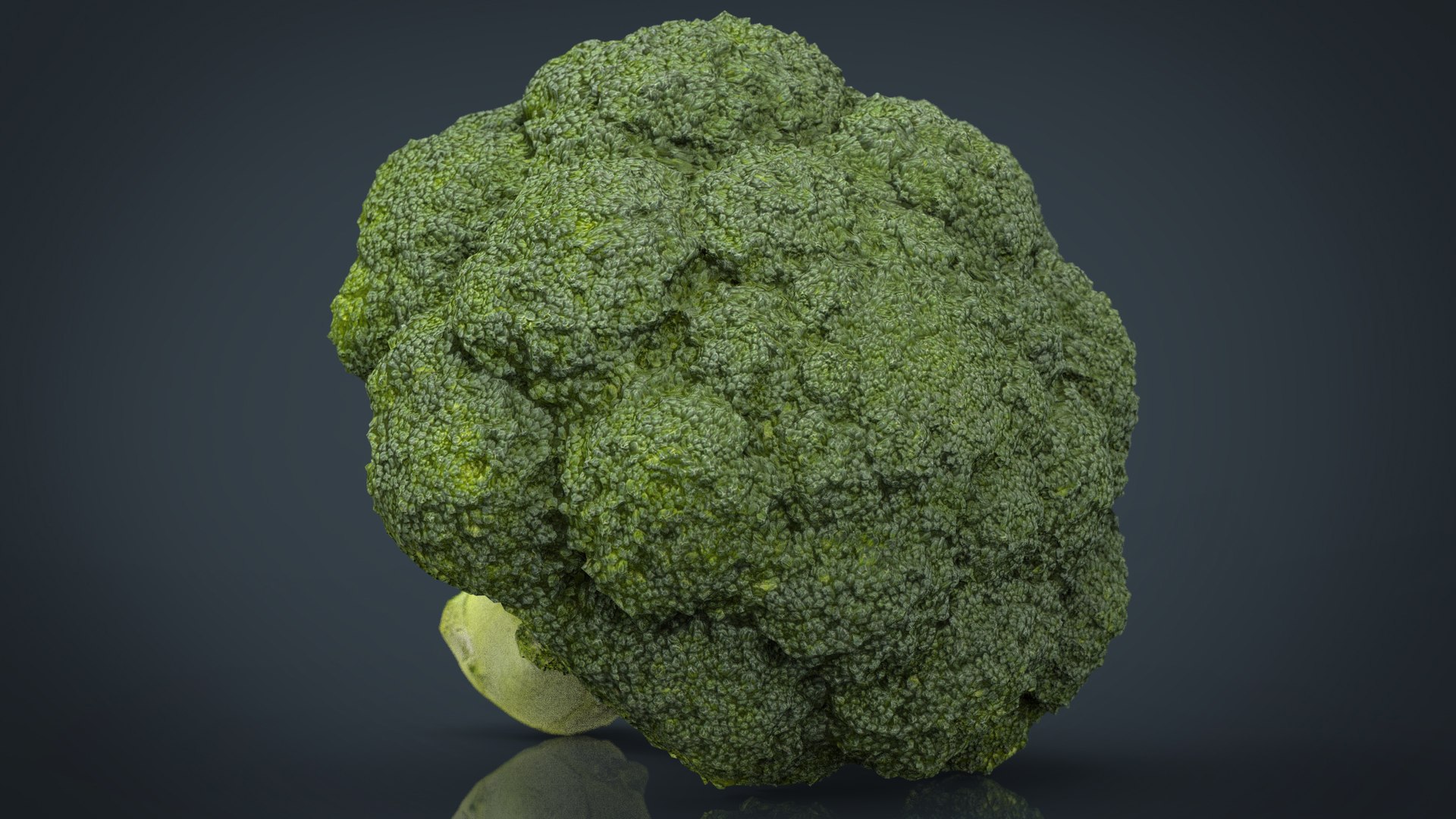 Broccoli 3d Model