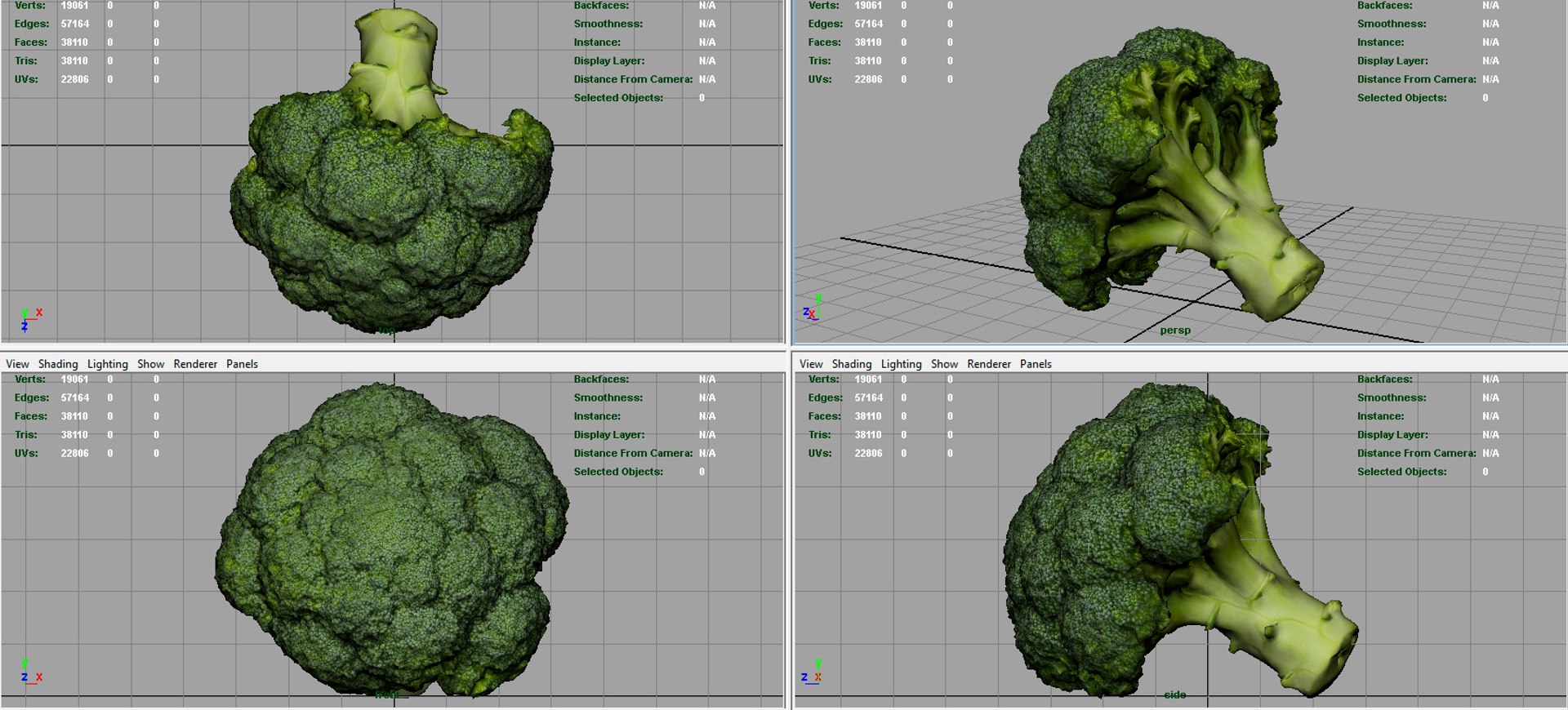 Broccoli 3d Model