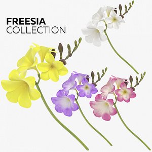 xfrogplants freesia plant 3d model