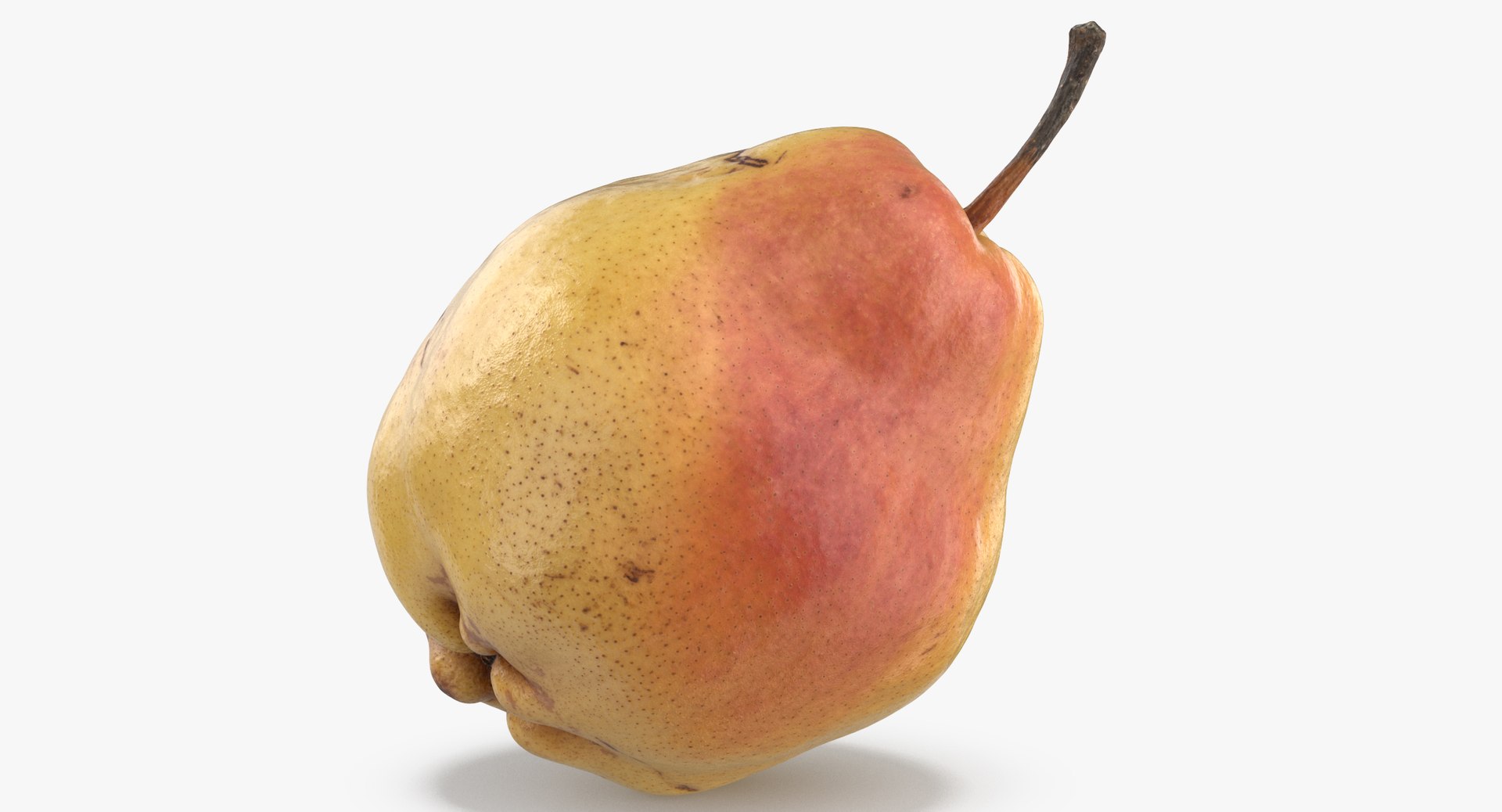 3D Model Comice Pear 01 - TurboSquid 1402921