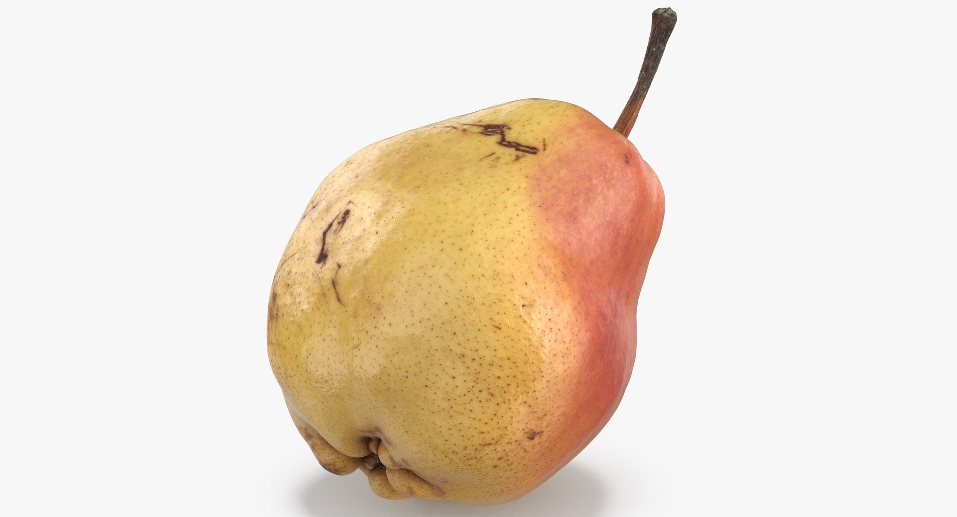 3D Model Comice Pear 01 - TurboSquid 1402921