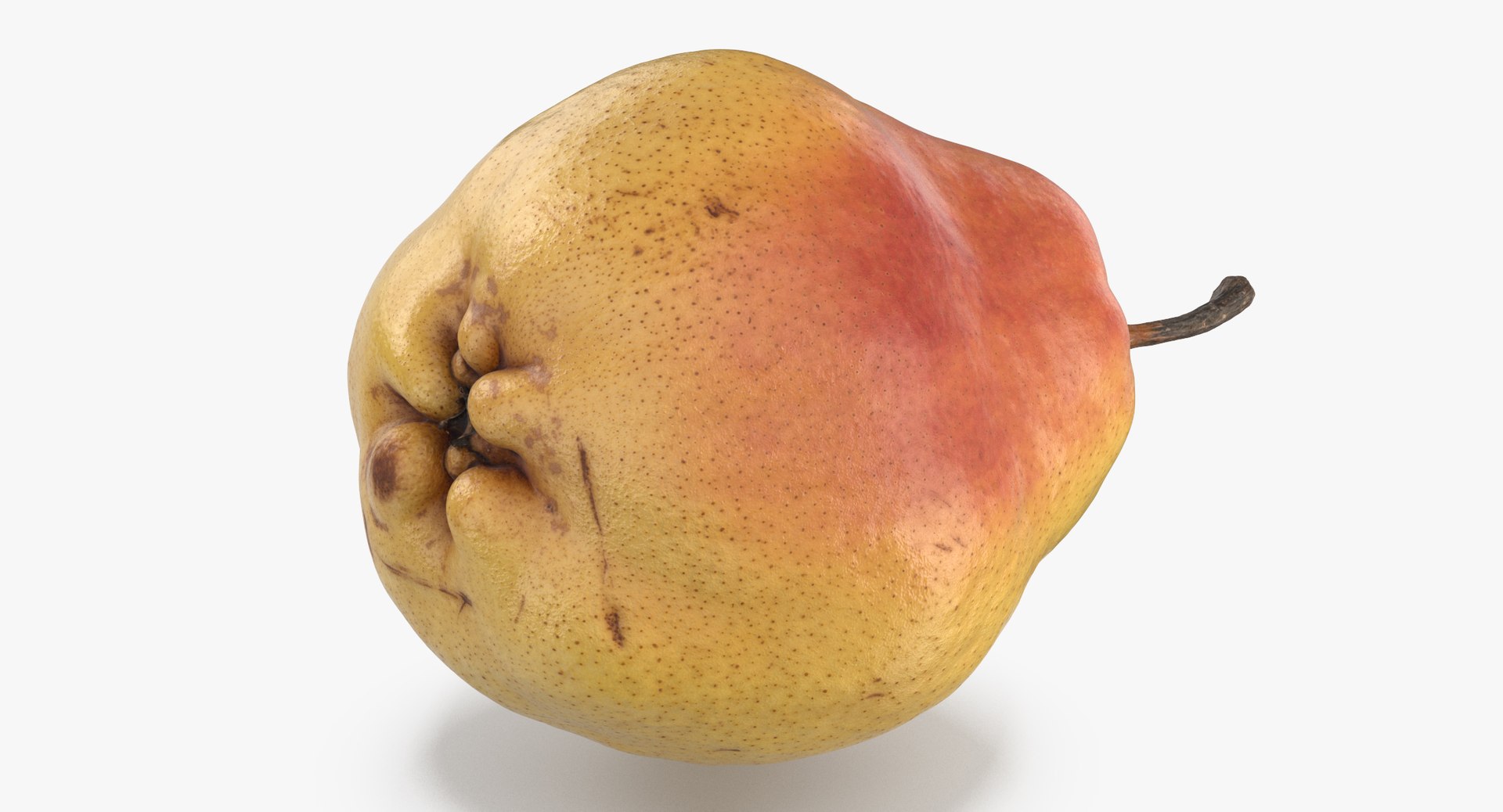 3D Model Comice Pear 01 - TurboSquid 1402921