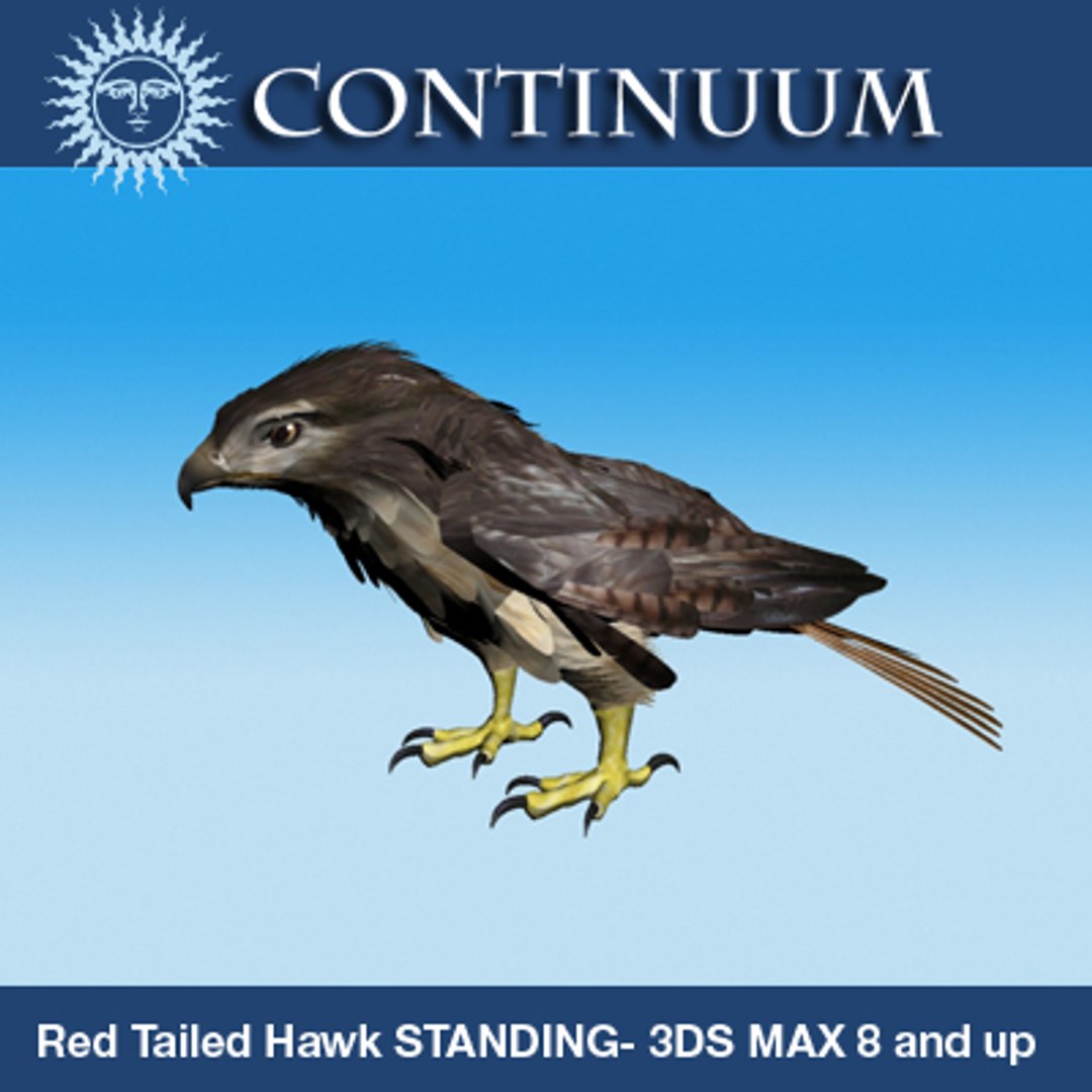 red tailed hawk standing 3d max