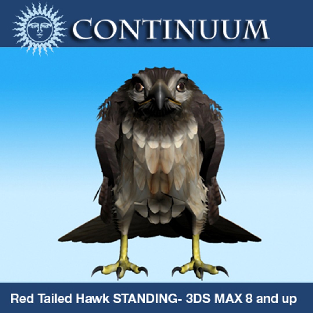 red tailed hawk standing 3d max
