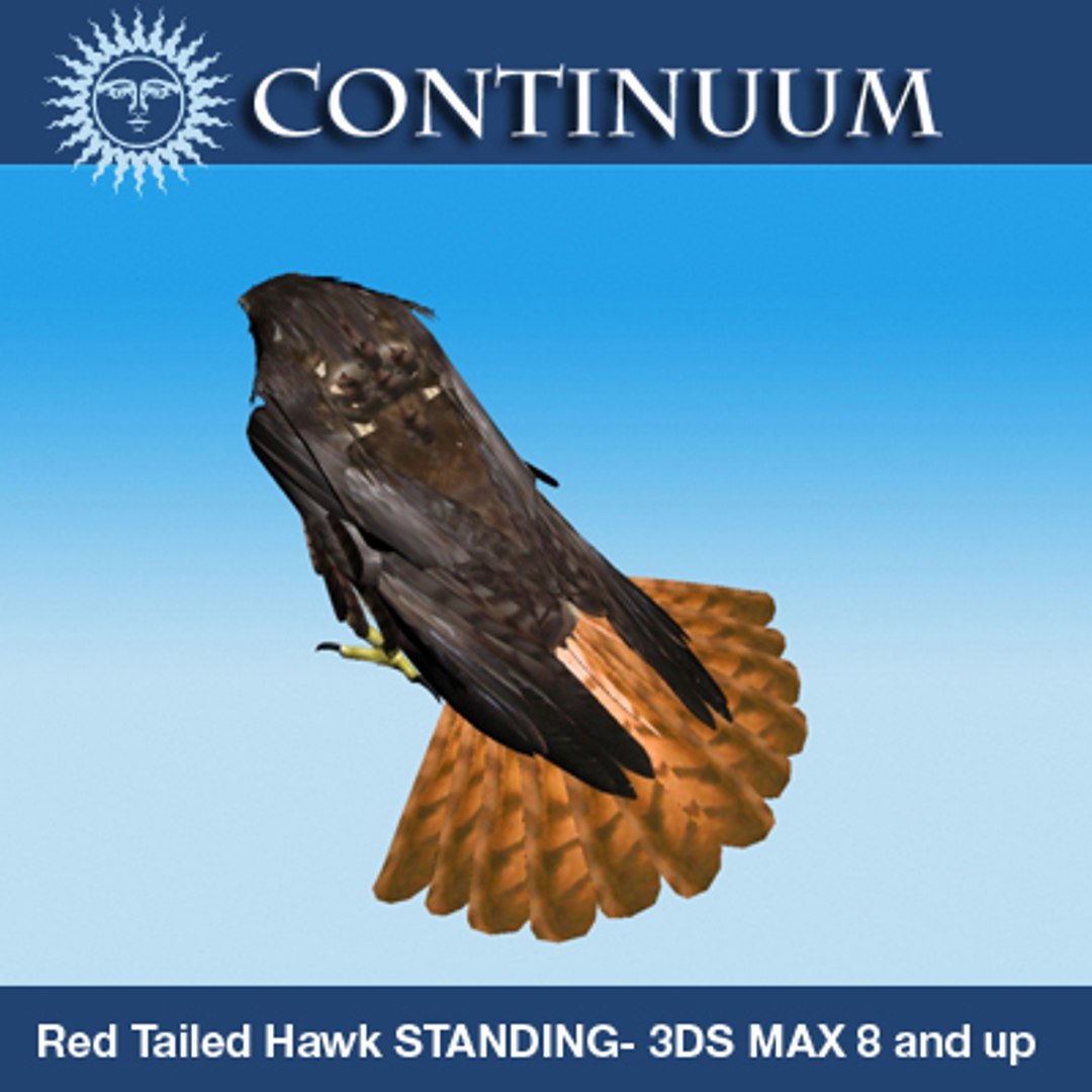 red tailed hawk standing 3d max