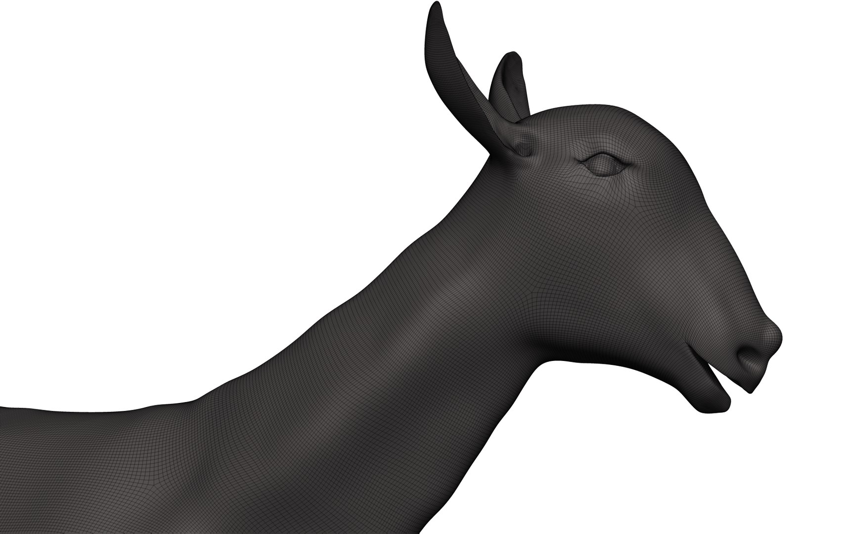 3D Markhor Model - TurboSquid 1850424