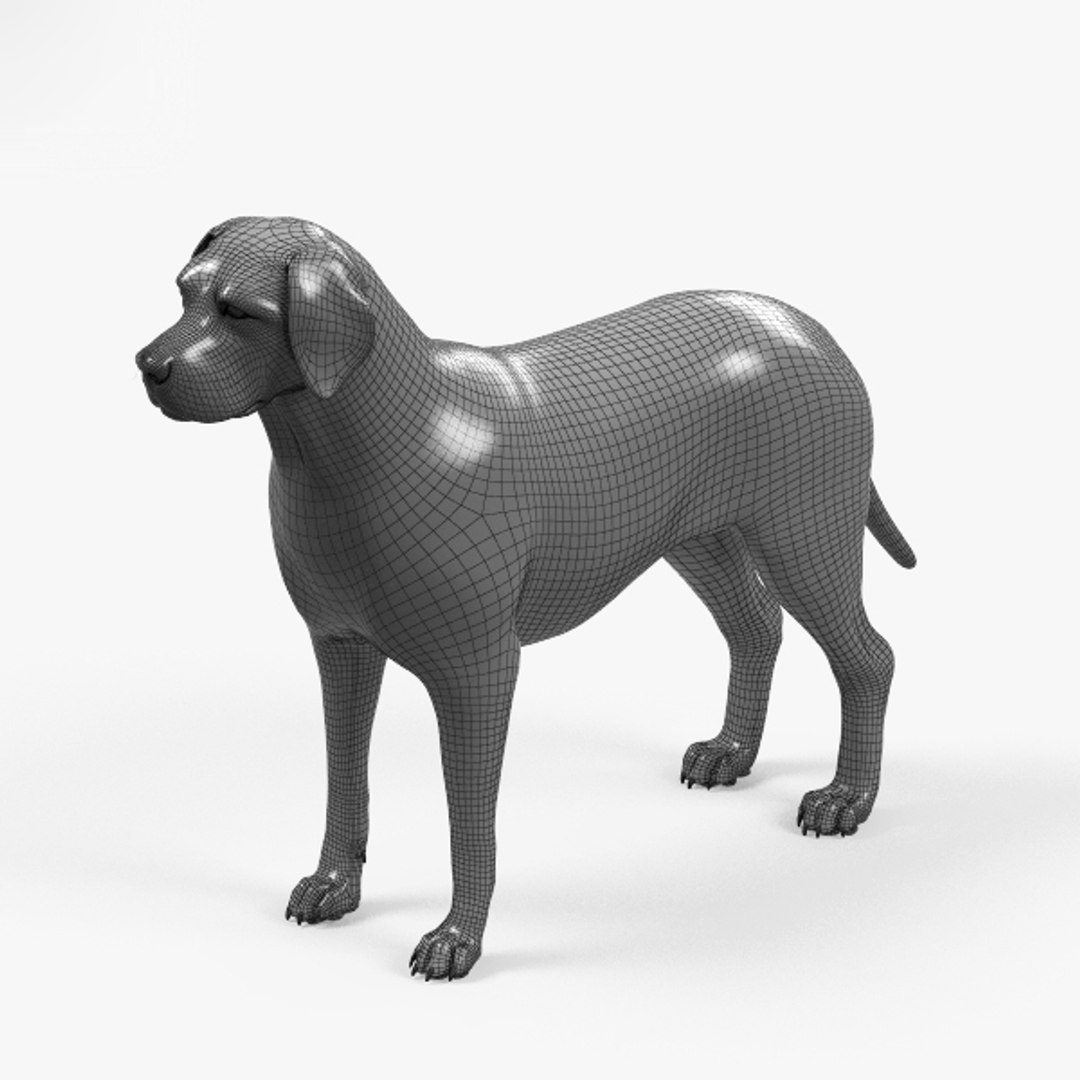 3D Labrador Retriever Model - TurboSquid 1395796