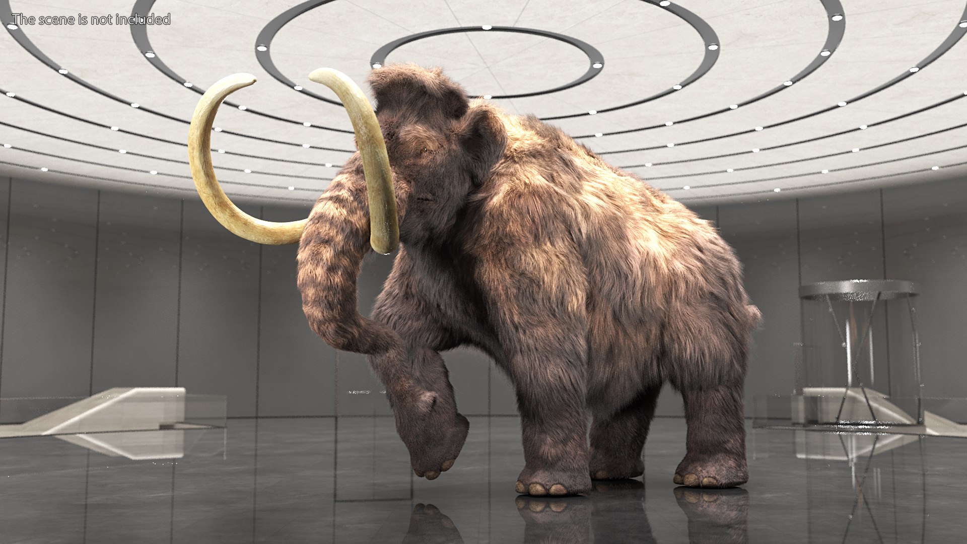 Mammoth Adult Walking Pose Fur 3D Model - TurboSquid 1803831