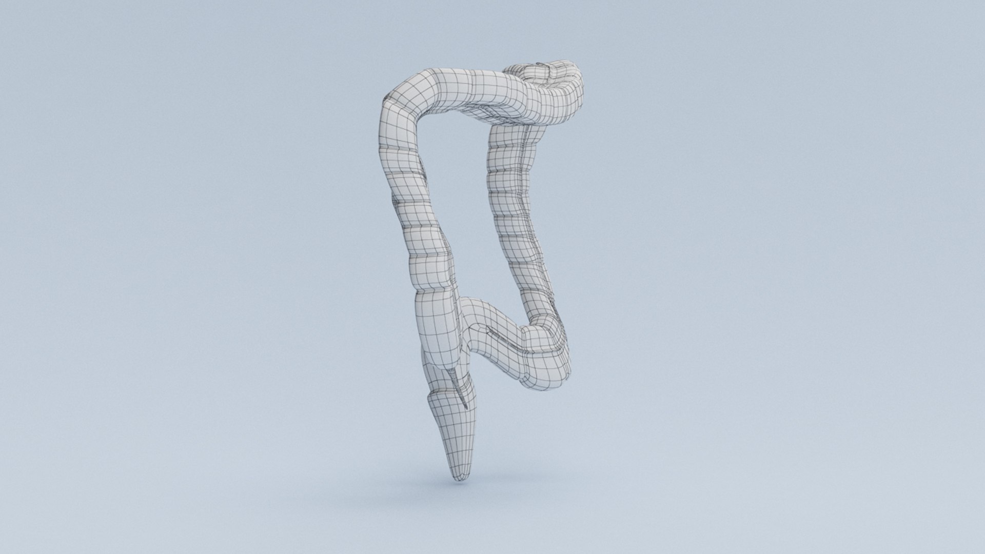 3d Model Large Intestine