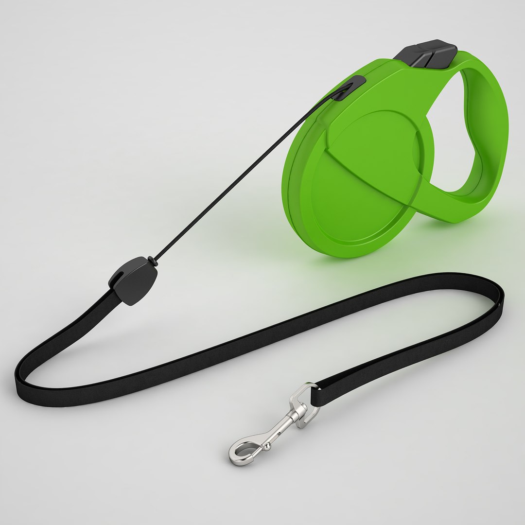 dog leash 3d obj