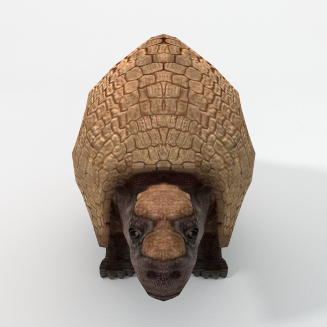 Gliptodonte 3D Model - TurboSquid 1400307