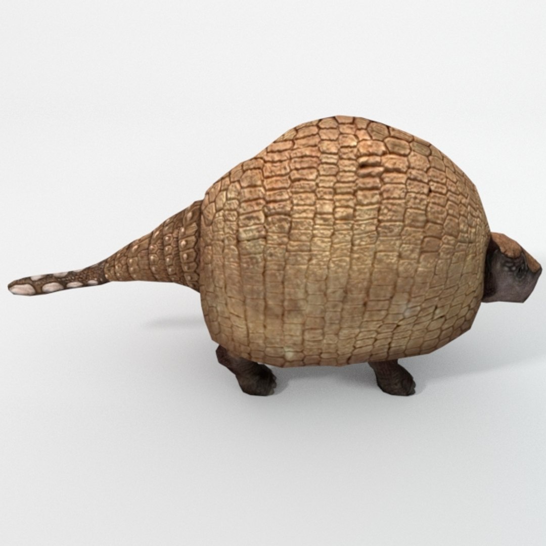 Gliptodonte 3D Model - TurboSquid 1400307