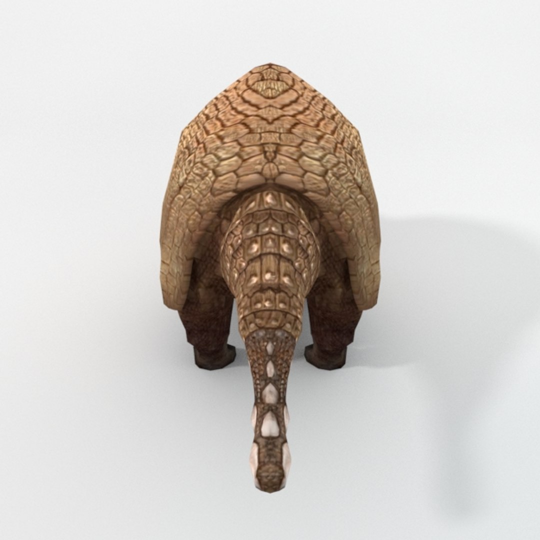 Gliptodonte 3D Model - TurboSquid 1400307