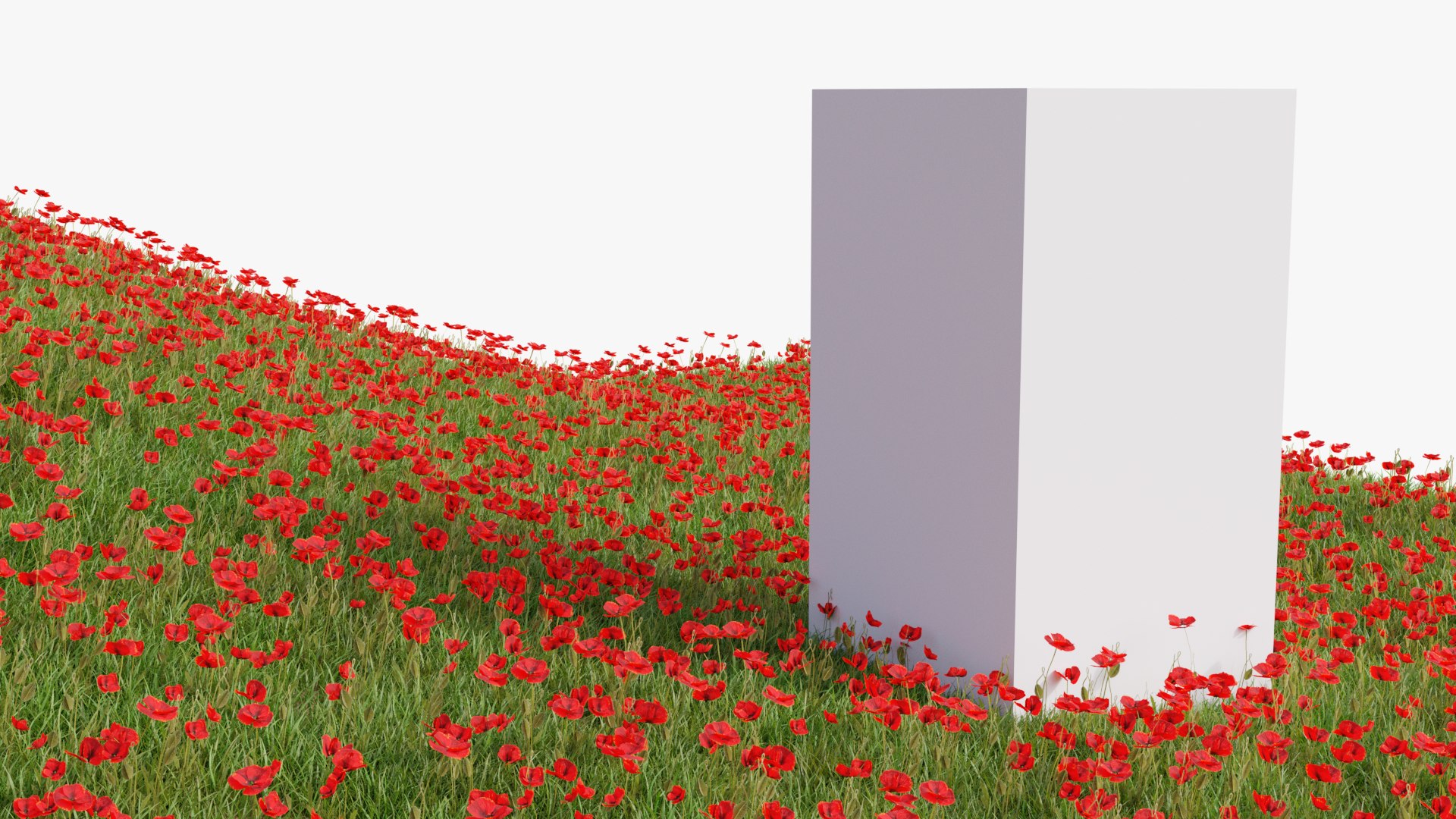 3D Poppy Field Model - TurboSquid 1939348