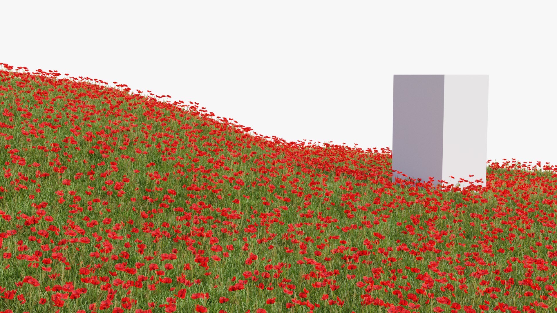 3D Poppy Field Model - TurboSquid 1939348