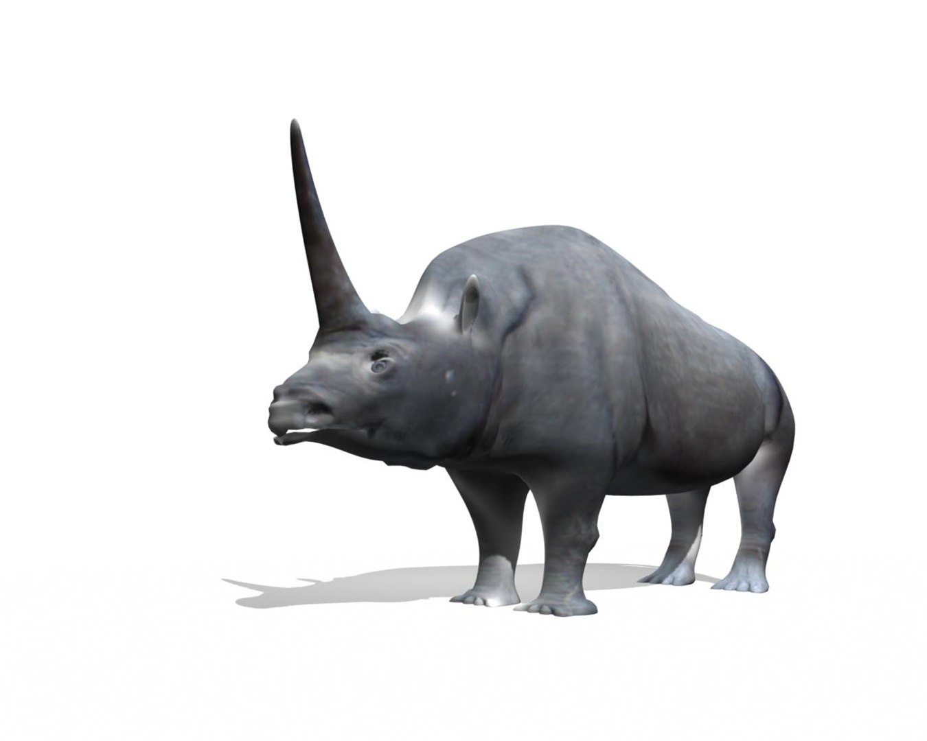 Elasmotherium Primitive Rhino 3d Model
