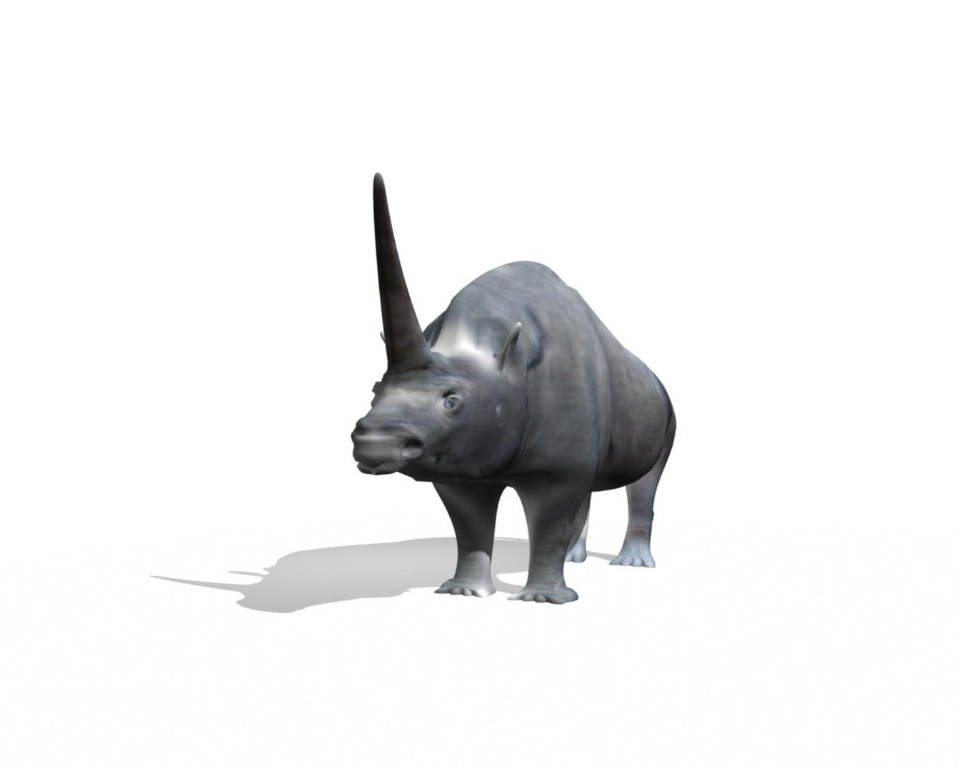 Elasmotherium Primitive Rhino 3d Model