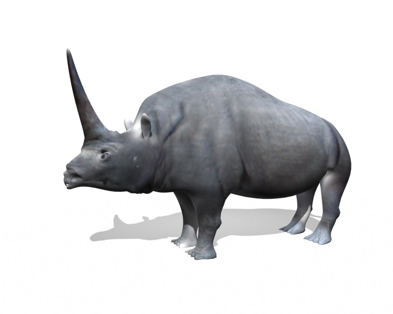 Elasmotherium Primitive Rhino 3d Model