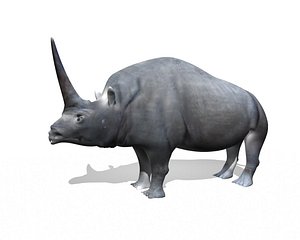 3D Elasmotherium Models - Browse & Download Formats - TurboSquid
