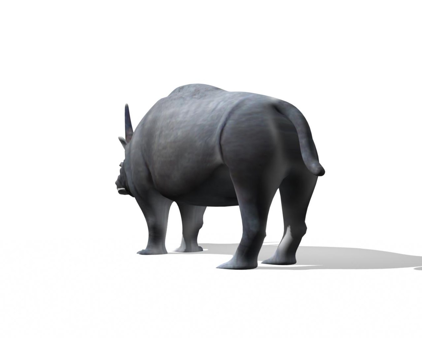 Elasmotherium Primitive Rhino 3d Model