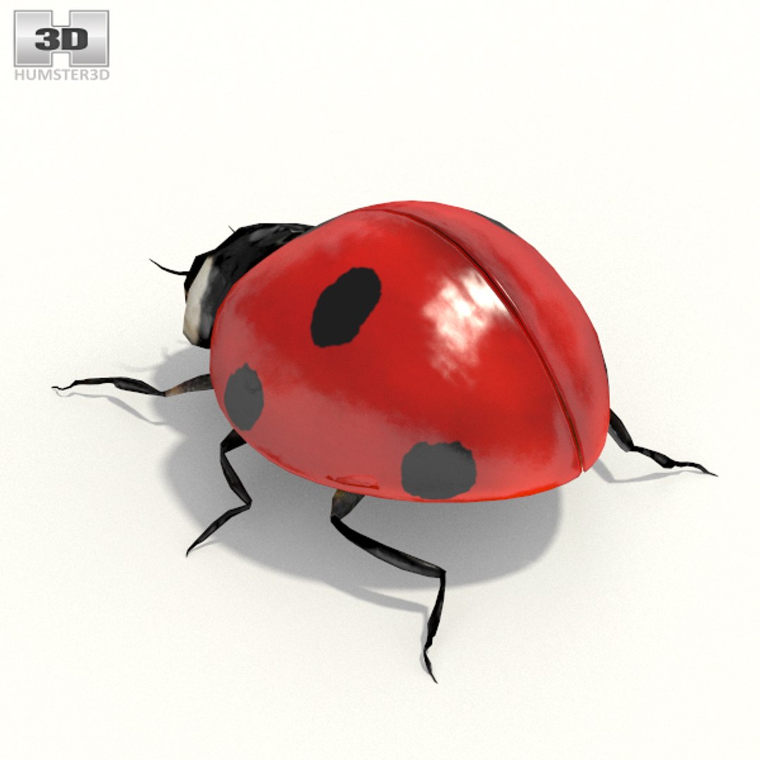 3d model ladybird lady d