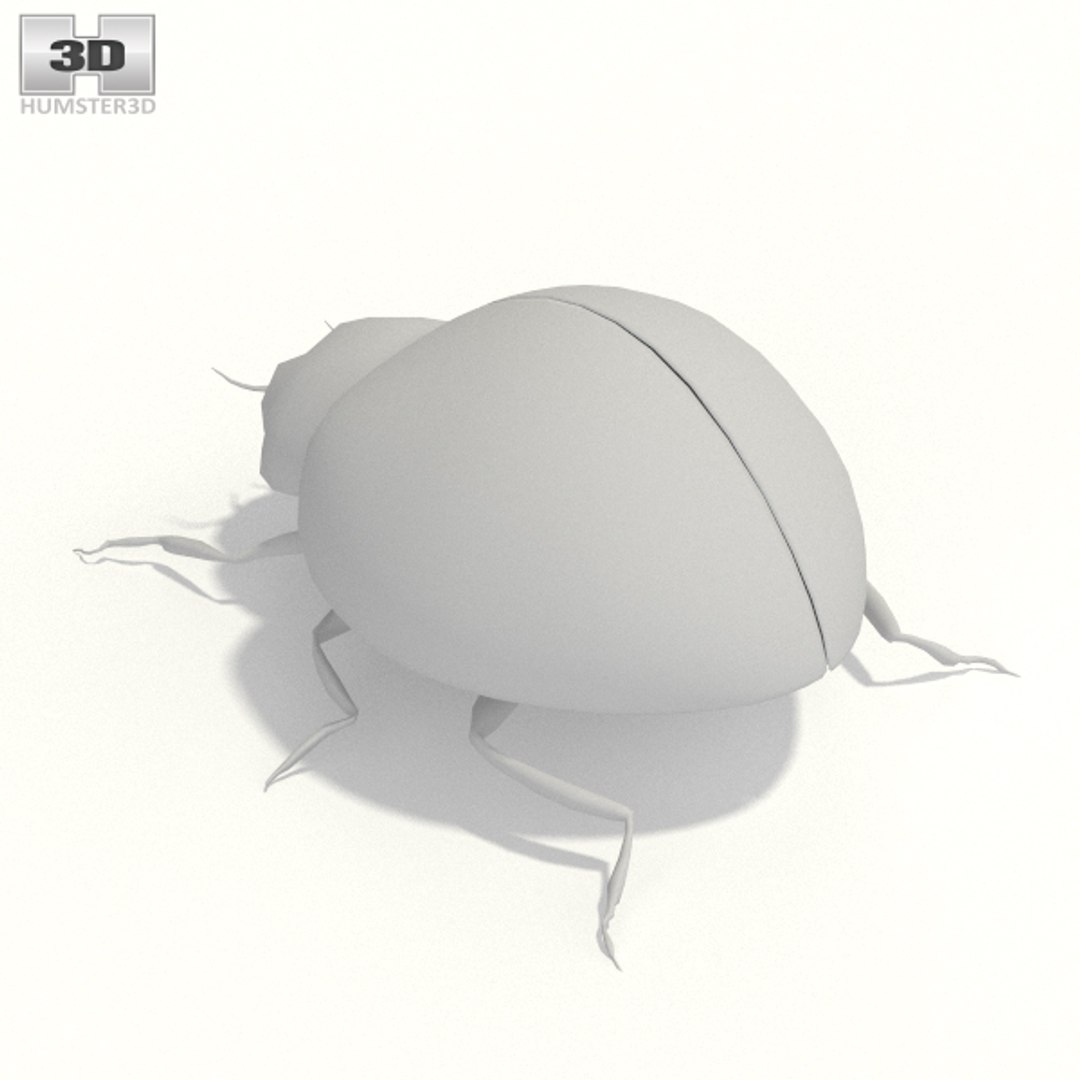 3d model ladybird lady d