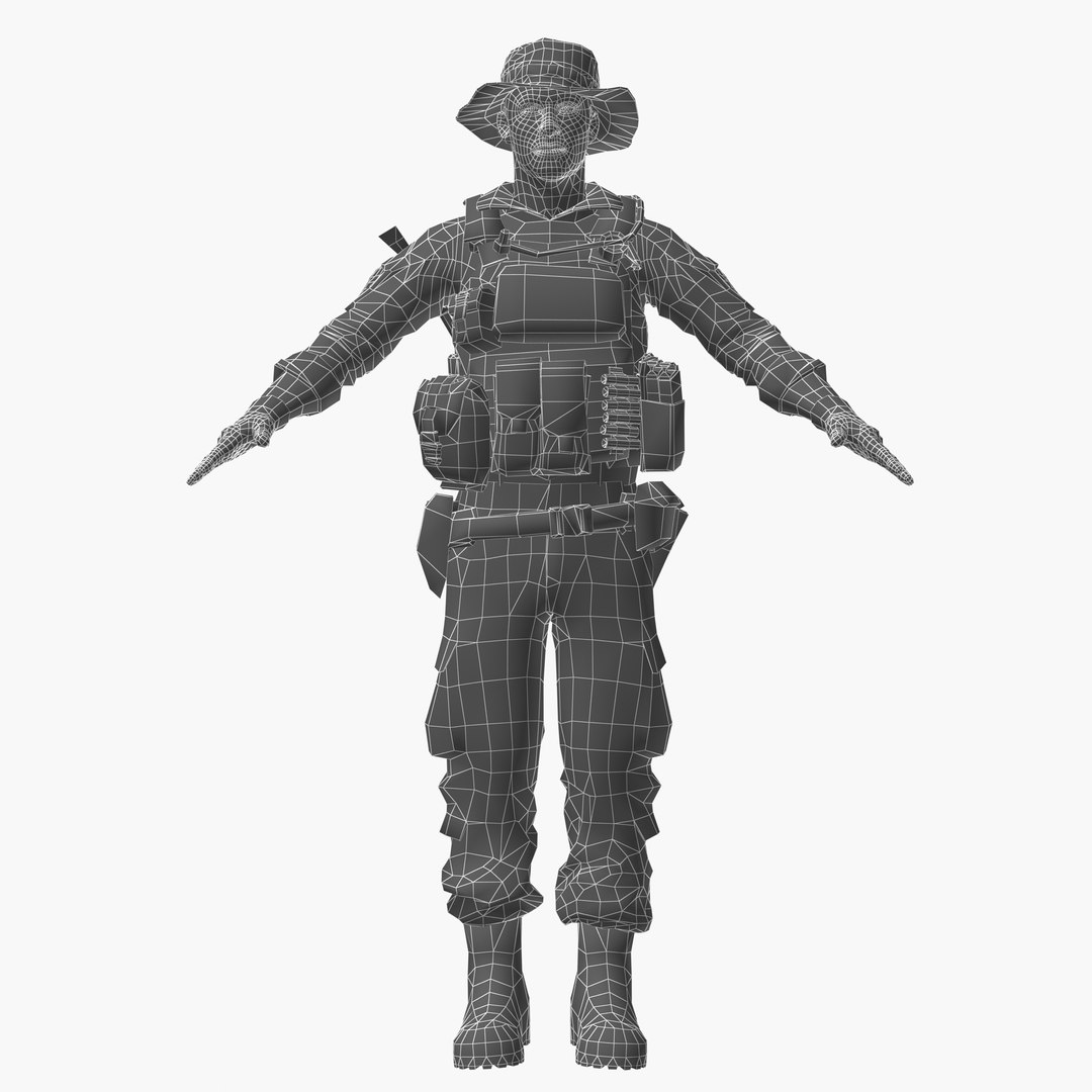 Pla Chinese Soldier 3D Model - TurboSquid 1668814