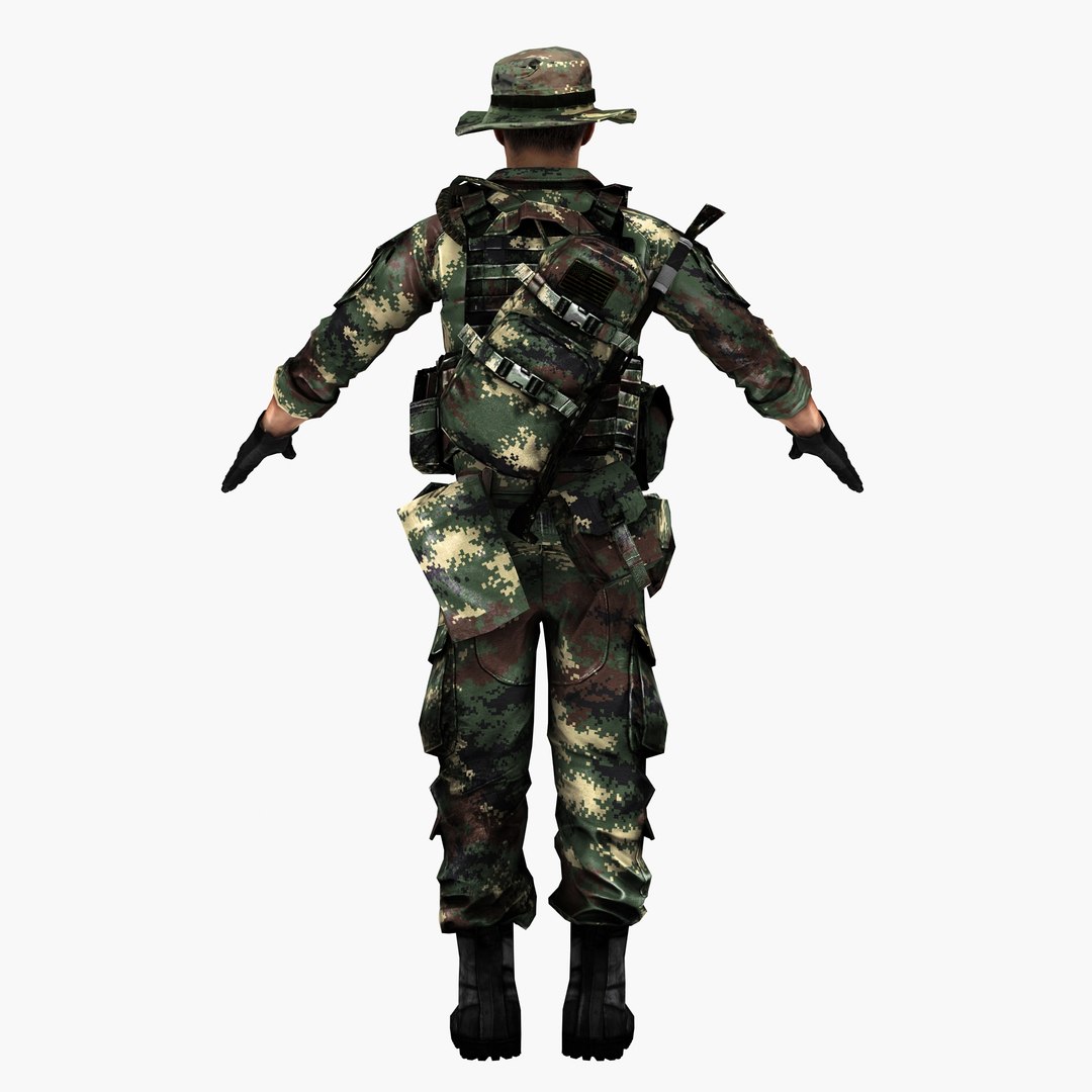 Pla Chinese Soldier 3D Model - TurboSquid 1668814