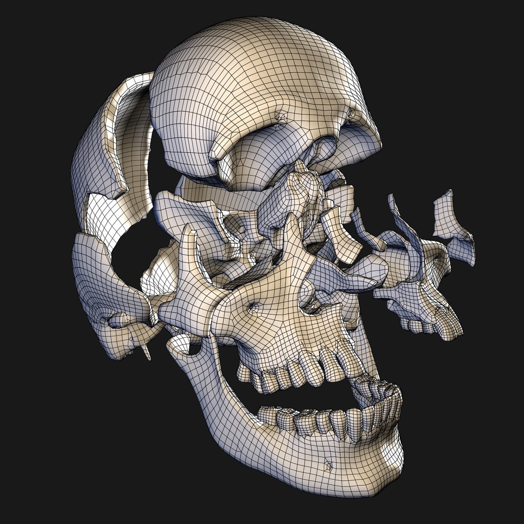 Anatomically Correct Skull Uberskull Ma