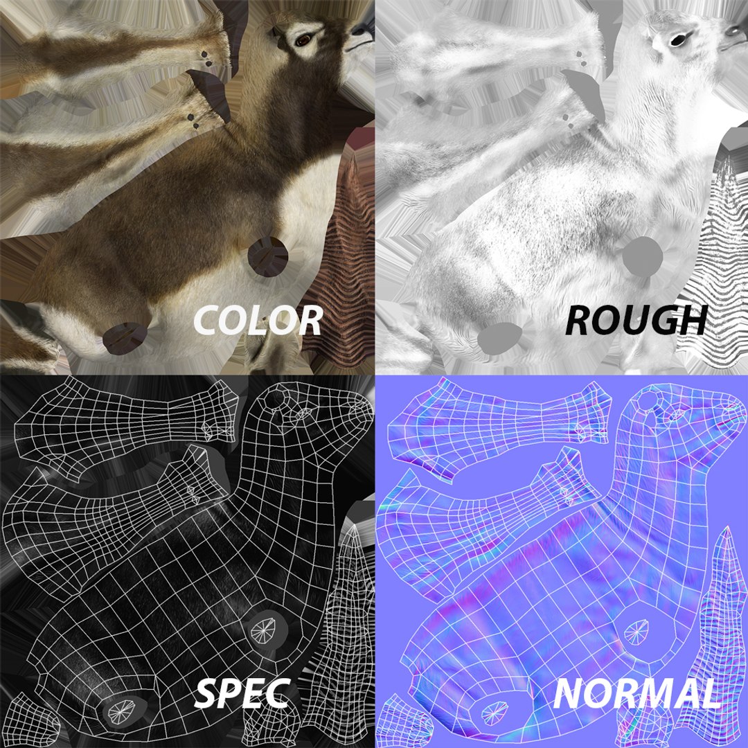 Blackbuck antelope 3D model - TurboSquid 1299592