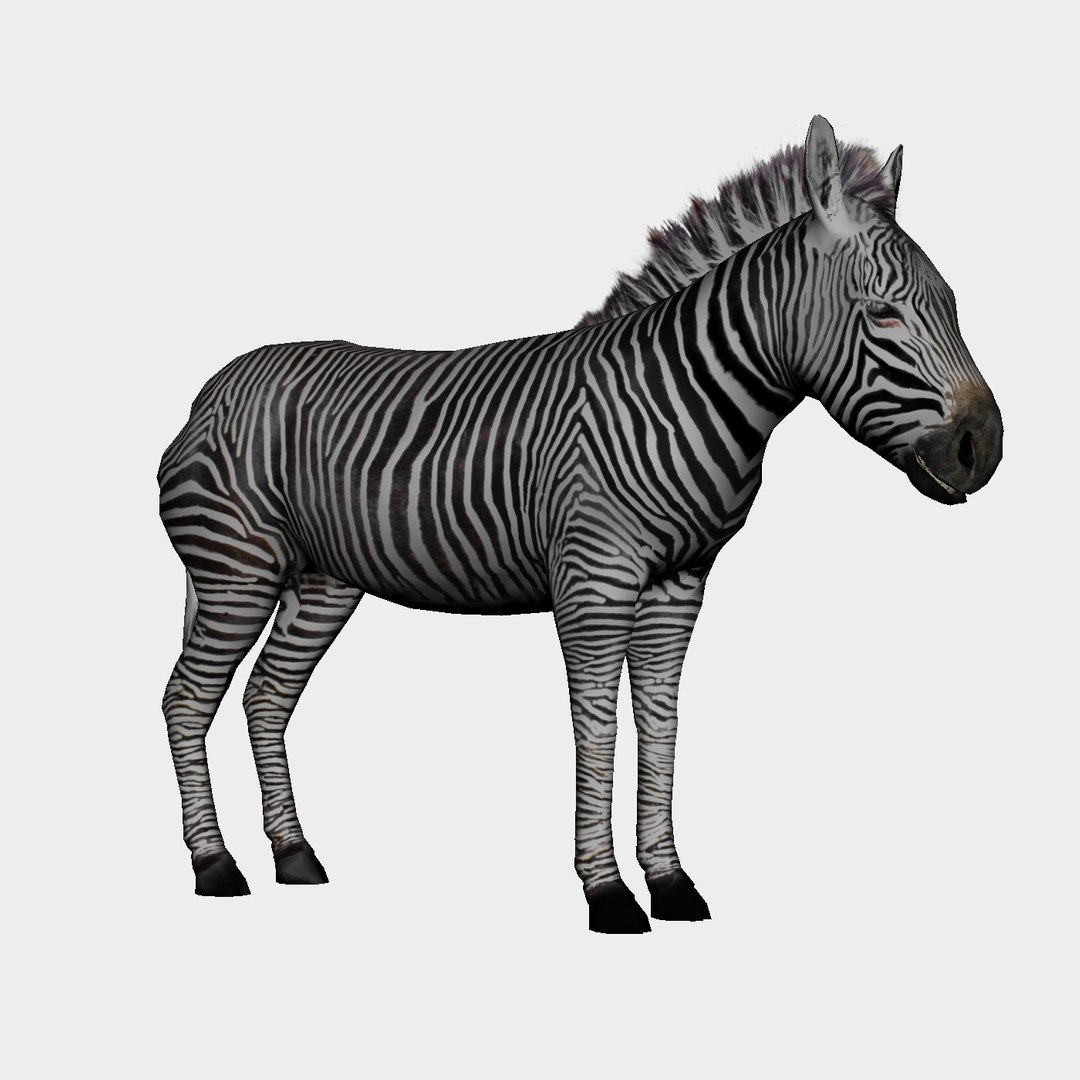 3D Lowpoly Zebra Animated For VR AR Games Model - TurboSquid 2059456