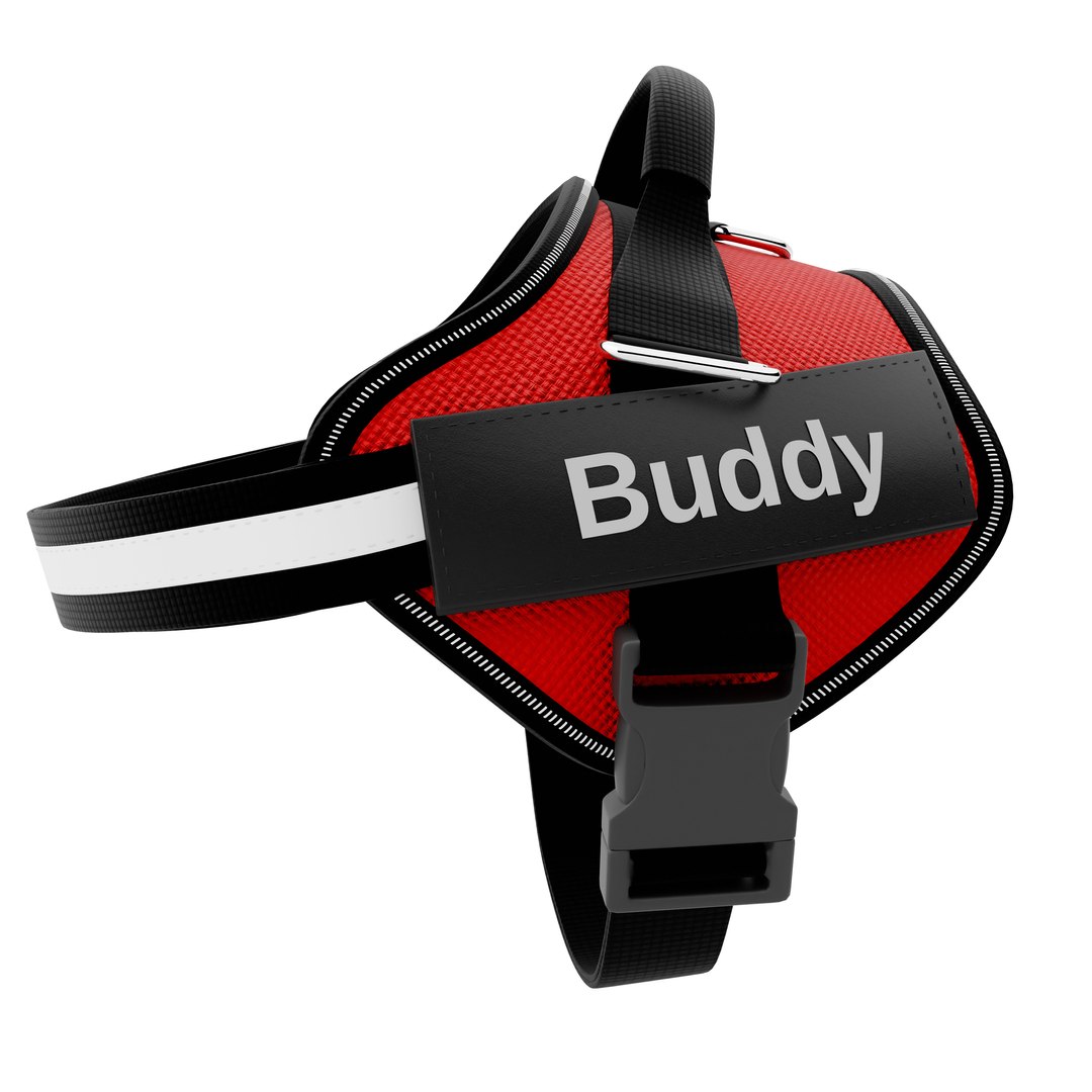 3D Dog Harness Model - TurboSquid 2287414