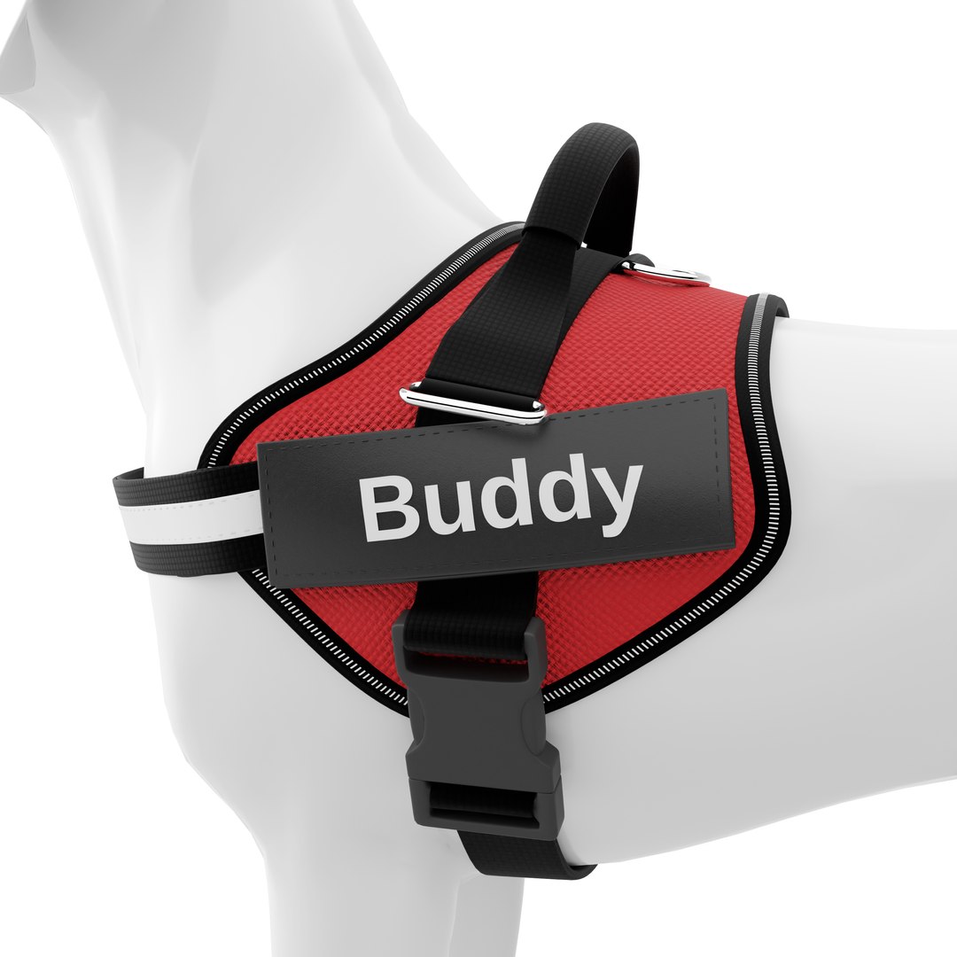 3D Dog Harness Model - TurboSquid 2287414