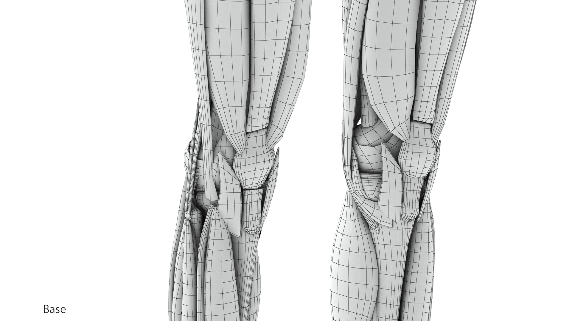 3D Human Musculoskeletal System model - TurboSquid 1848273