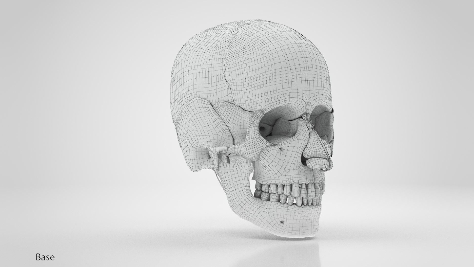 3D Human Musculoskeletal System model - TurboSquid 1848273